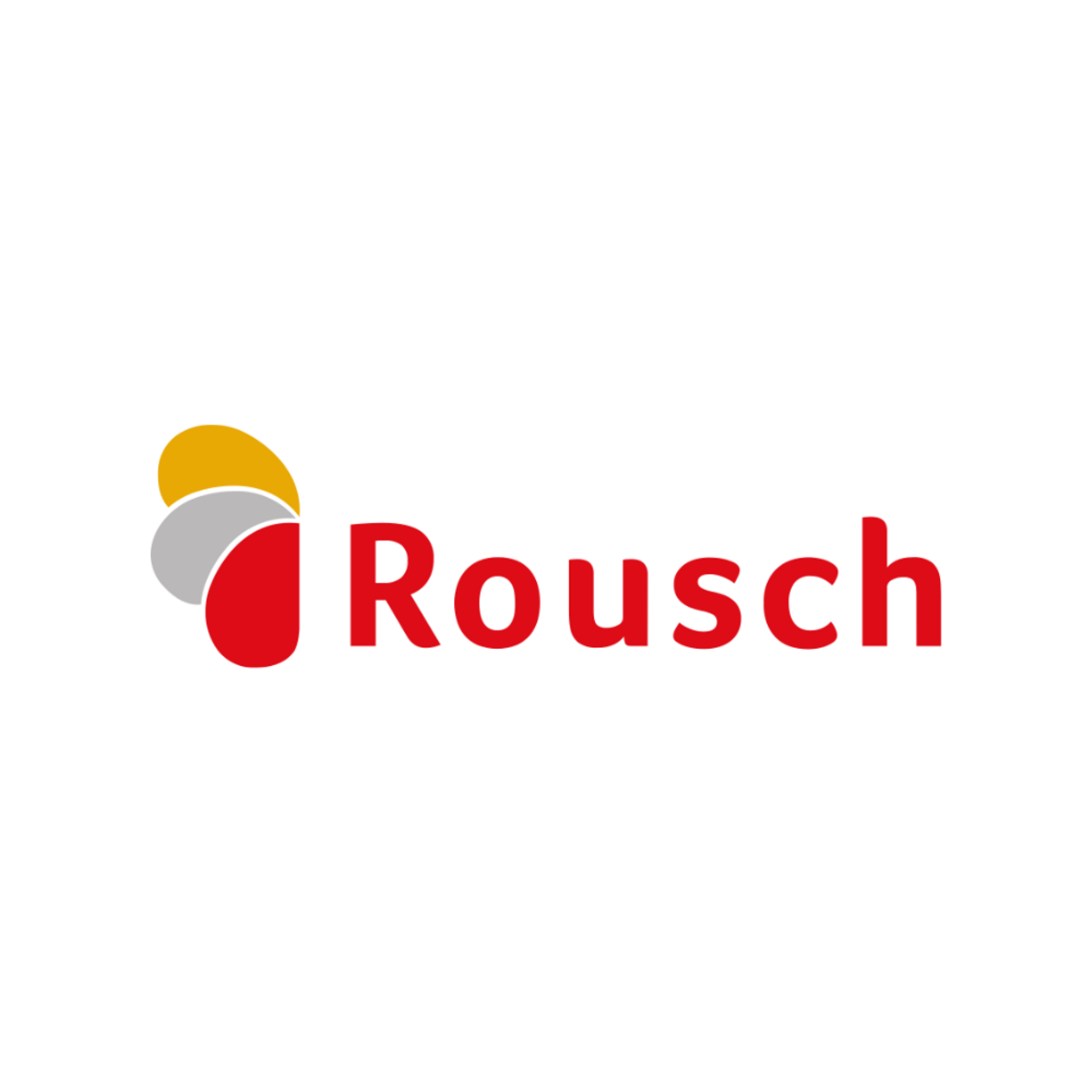 Manager Accountancy | Rousch